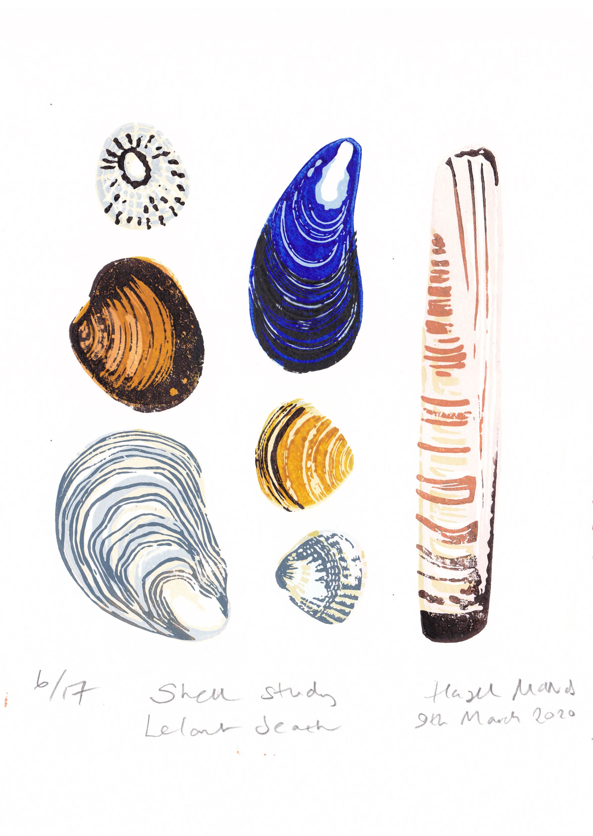 Nature Studies – Hazel McNab